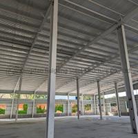 China Large Span Steel Structure Building House Warehouse Factory Storage Workshop Construction for sale