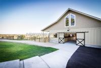 China Modern Steel Horse Stable for Horse Riding Farmhouse Use Convenient Horse Riding House Warehouse Design for sale