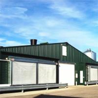 China Hot Dip Galvanized Galvanised Steel Internal Horse Stable Stall With Steel Frame for sale