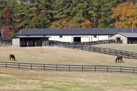 China Stable Horses with House Included Horse Stable Doors for Sale Horse Stable Front Door Moveable for sale
