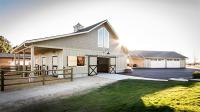 China Modern Design Steel Frame Prefab Horse Stable Horse Box Stable for Farmhouse and Warehouse Use for sale
