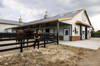 China Modern Design Steel Frame Prefab Horse Stable Horse Box Stable for Farmhouse and Warehouse Use for sale