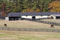China Animal Tent for Raise Cattle & Cow Factory Livestock Animal Shelter Horse Stable for sale