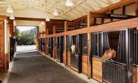 China Animal Tent for Raise Cattle & Cow Factory Livestock Animal Shelter Horse Stable for sale