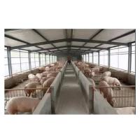 China RG-Low Cost Steel Structure Poultry House Construct Mobile Chicken Pig Goat Cow Breeding Shed Cattle Farming Farm in China for sale
