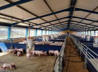 China High Quality Long Span Steel Structure Prefabricated Construction Design for Pig Farm and Chicken House for Pig Shed for sale