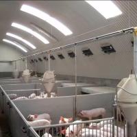 China High Quality Long Span Steel Structure Prefabricated Construction Design for Pig Farm and Chicken House for Pig Shed for sale