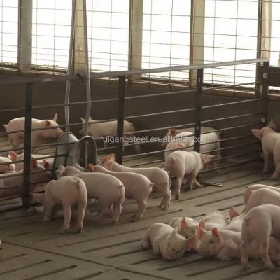 China Rg-factory Wholesale Livestock Shelter Steel Prefab Cow Shed Prefabricated Pig House for sale