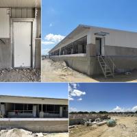 China Factory 2025 New Design Prefab Steel Structure Farmhouse Cow Shed and Pig Housing for Farm Building for sale
