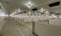 China Luxury Garage Storage Poultry Chicken and Pig Farming for Chicken and Pig House for Steel Structure Building for sale