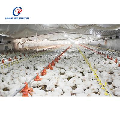 China Steel Structure Chicken House Prefab Chicken Shed Farm Shed for Poultry Farm Steel Building for sale