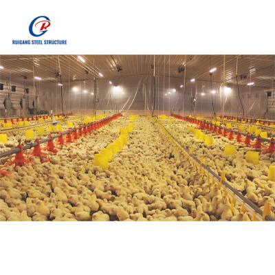 China Heavy Steel Structure Chicken Shed Prefab Steel Building for Poultry Farm and Farm Shed Use for sale
