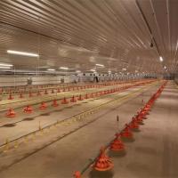 China Heavy Steel Structure Chicken Shed Prefab Steel Building for Poultry Farm and Farm Shed Use for sale