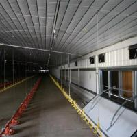 China Steel Structure Building for Chicken House Poultry Farm Chicken Shed and Prefab Farm Shed Use for sale