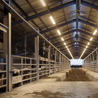 China Customized Steel Structure Cow Farm Building for Livestock House Management for sale