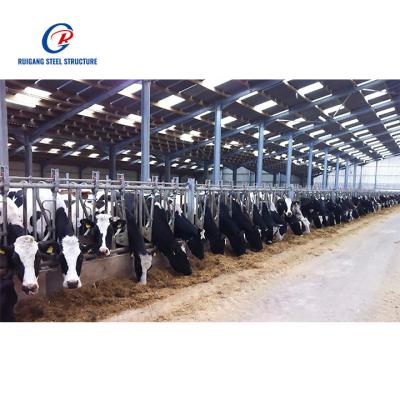 China Stable Design Porcherie Prefabricated Steel Structure Poultry Farm Dairy Cattle Pig Shed Home Farm House Building for sale