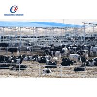 China Stable Design Porcherie Prefabricated Steel Structure Poultry Farm Dairy Cattle Pig Shed Home Farm House Building for sale