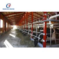 China Stable Design Porcherie Prefabricated Steel Structure Building Dairy Cattle Pig Shed Home Farm House Building for sale