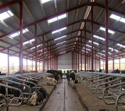 China Industrial-Style Prefabricated Steel Structure Cattle Shed Fast Construction for Farmhouse Dairy and Livestock Easy Delivery for sale