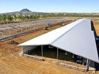 China Industrial-Style Prefabricated Steel Structure Cattle Shed Fast Construction for Farmhouse Dairy and Livestock Easy Delivery for sale