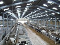 China High Quality Modern Design Steel Structure Dairy Farm Living House Prefabricated Cow Shed for Sale for sale