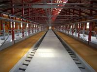 China Modern Prefabricated Farm Structure Big Storage Building Shed for Poultry Sheep Dairy Farm Goat House Warehouse Barn for sale