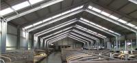 China Modern Prefabricated Farm Structure Big Storage Building Shed for Poultry Sheep Dairy Farm Goat House Warehouse Barn for sale