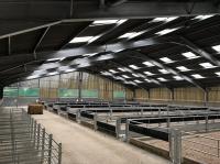 China Versatile Prefabricated Steel Structure Workshop Halls for Poultry Farm for Sheep Chicken House Designed in Farmhouse Style for sale