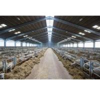 China Versatile Prefabricated Steel Structure Workshop Halls for Poultry Farm for Sheep Chicken House Designed in Farmhouse Style for sale