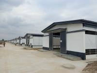 China Versatile Prefabricated Steel Structure Workshop Halls for Poultry Farm for Sheep Chicken House Designed in Farmhouse Style for sale