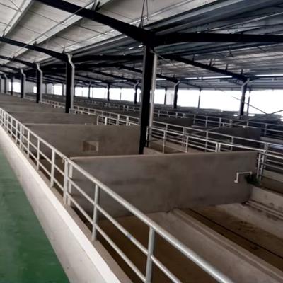 China Low Cost Modern Prefab Steel Structure Sheep Goat Farm Barn House Dairy Cow Shed Cattle Farm Building for sale