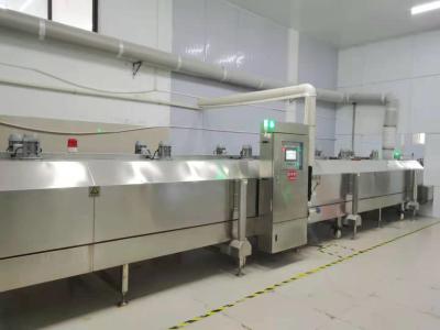 China Liquid Nitrogen Tunnel Freezer Iqf Quick Freezing Machine Quick Freezing Tunnel for sale