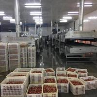 China DJL Tunnel Industrial Freezer/Iqf Freezing Continuous Quick Freezer Of Blast Fast Freezing for sale