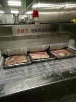 China DJL Food Processing Line Cryogenic Freezing Tunnel/Iqf Tunnel Freezer Equipment for sale