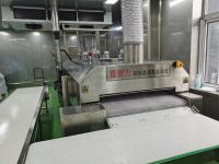 China huge capacity ODM Tunnel liquid nitrogen Quick Freezing Equipment for sale