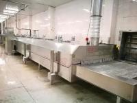 China ODM Iqf Machine For Fruits Vegetables  Freezer Fresa  Strawberry Cooling Quick Freezing Tunnel for sale