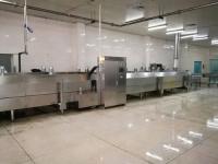 China ODM Iqf Machine For Fruits Vegetables  Freezer Fresa  Strawberry Cooling Quick Freezing Tunnel for sale