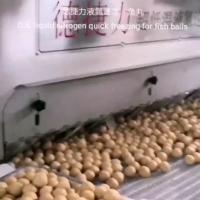 China Cryogenic Tunnel Freezer Liquid Nitrogen Quick Freezing Line Machine for sale