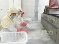 China 800KG/Hour 1000kgs/Hour Liquid Nitrogen Tunnel Freezer Quick Freezing Machine Ln2 OEM for sale