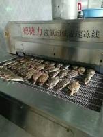 China Meatfish Fast Freezing Mesh Belt Tunnel Freezer 4000kg Per Hour 4500kg Per Hour for sale