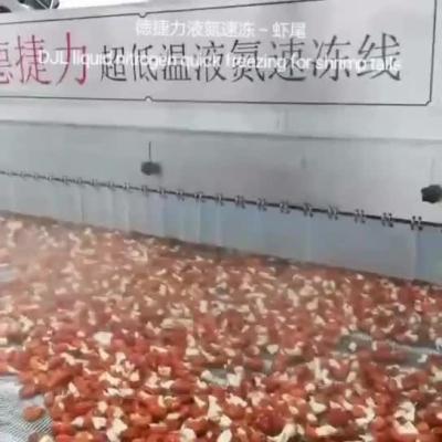 China DJL Dry Ice Liquid Nitrogen Dual Use Type Iqf Freezer Machine For Shrimp for sale