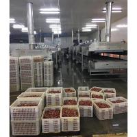 China DJL Dry Ice Liquid Nitrogen Dual Use Type Iqf Freezer Machine For Shrimp for sale