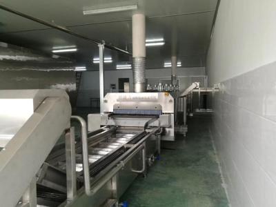 China 1000KG/H Blast Chiller Shock Mesh Belt Tunnel Freezer SUS304 1200KG/H for sale