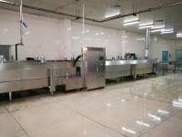 China Liquid Nitrogen IQF Industrial Quick Freezing Machine Fruit And Vegetable Quick Freezing for sale