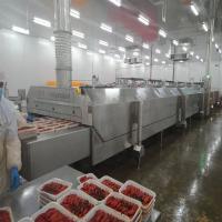 China DJL High Quality Food Iqf Quick-Freezing Equipment Tunnel Freezer For Seafood And Vegetable for sale
