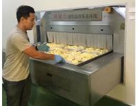 China DJL High Quality Food Iqf Quick-Freezing Equipment Tunnel Freezer For Seafood And Vegetable for sale