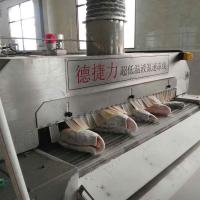 China DJL China Made Freezer Food Processing Machine Stainless Steel Belt IQF Tunnel Freezer for sale