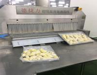 China DJL China Made Freezer Food Processing Machine Stainless Steel Belt IQF Tunnel Freezer for sale