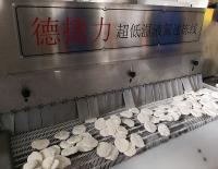 China DJL Food Vegetable Cooling Conveyor Freezing Machines Factory Price Commercial Freezer for sale