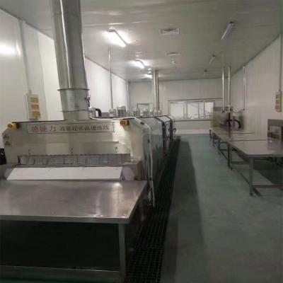 China DJL Cryogenic Freezing Chamber Dumplings Iqf Quick Freezer Liquid Nitrogen Freezer Fast for sale